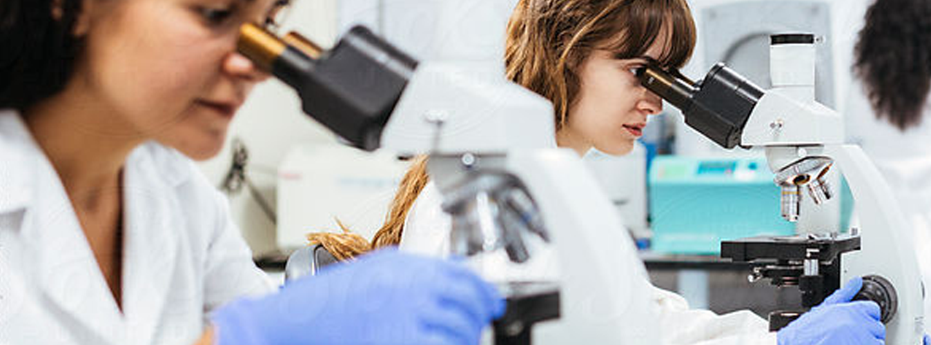 You Are Logged In - AMSA